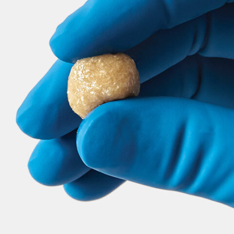 Orthopedics - Maxxeus