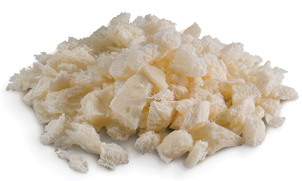 Corticocancellous Chips - Maxxeus