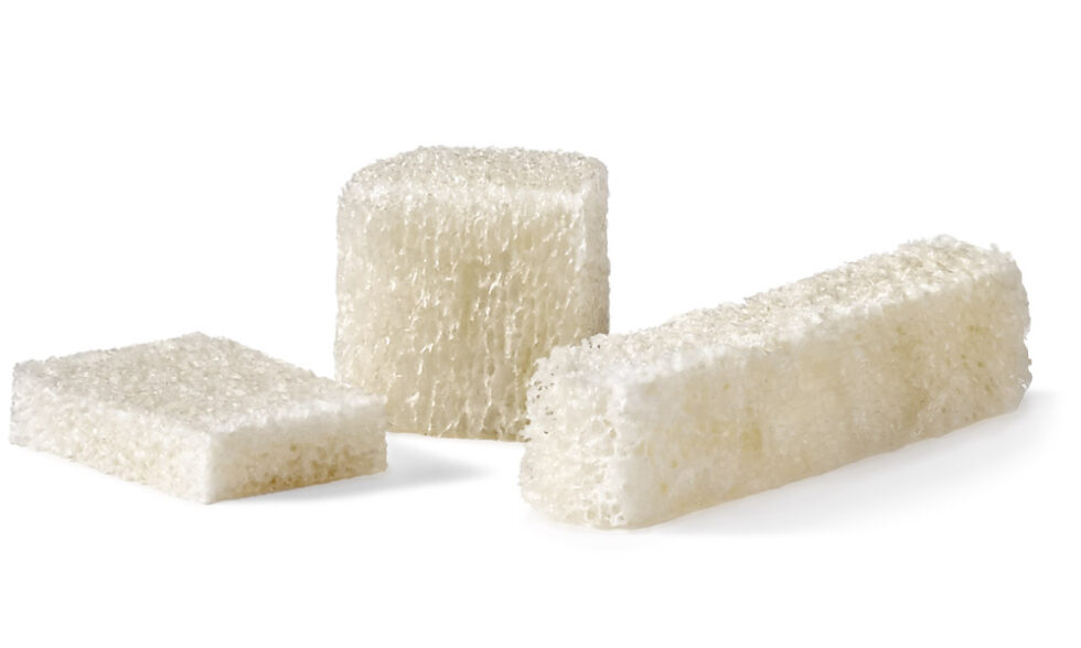 Demineralized Bone Matrix (DBM) Cancellous Sponges - Maxxeus
