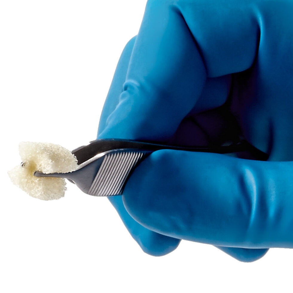 Demineralized Bone Matrix (DBM) Cancellous Sponges - Maxxeus