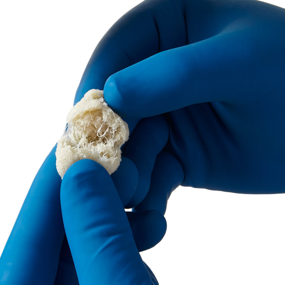 Demineralized Bone Matrix (DBM) Fibers - Maxxeus