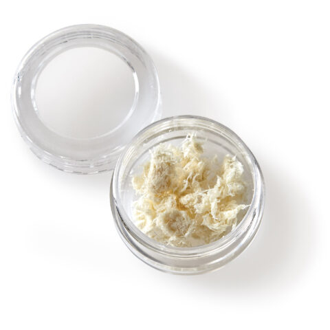 Demineralized Bone Matrix (DBM) Fibers - Maxxeus