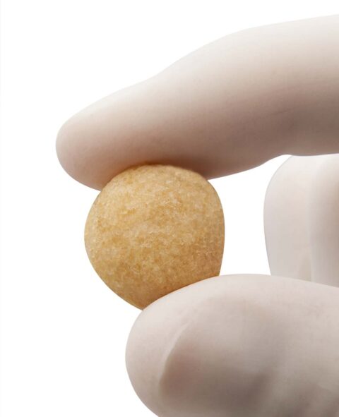 Demineralized Bone Matrix (DBM) Putty - Maxxeus