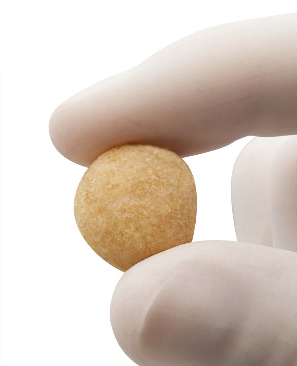 Demineralized Bone Matrix (DBM) Putty - Maxxeus