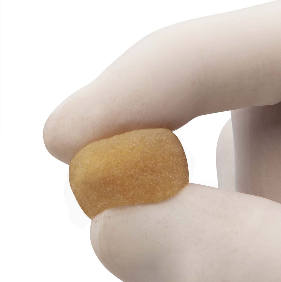 Demineralized Bone Matrix (DBM) Putty - Maxxeus